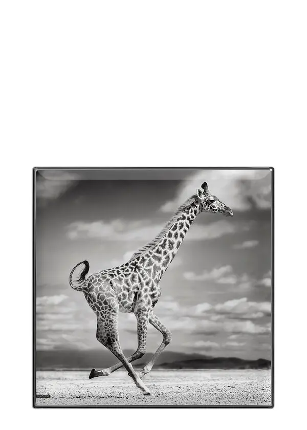 CHANTECAILLE Luminescent Eye Shades - Giraffe