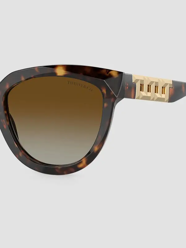 Tiffany & Co. 53mm Cat-eye Sunglasses