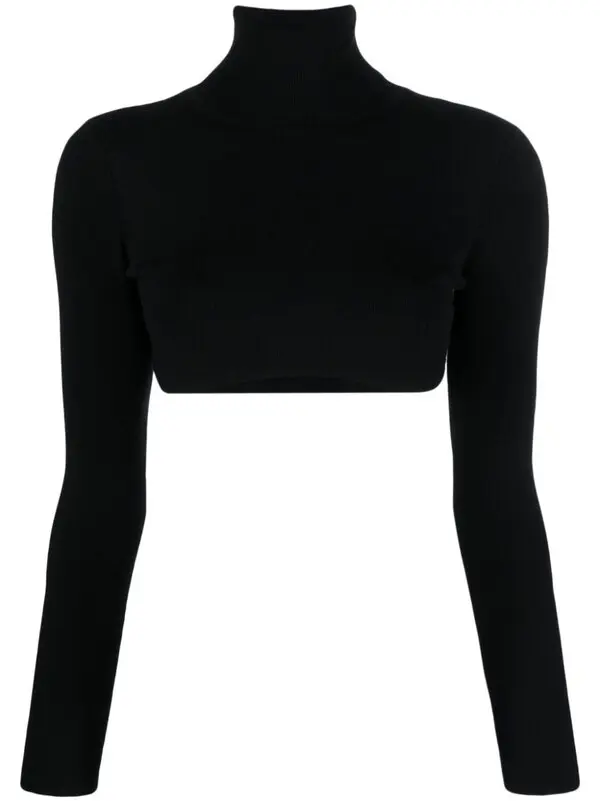 Elisabetta Franchi High-neck Cropped Jumper