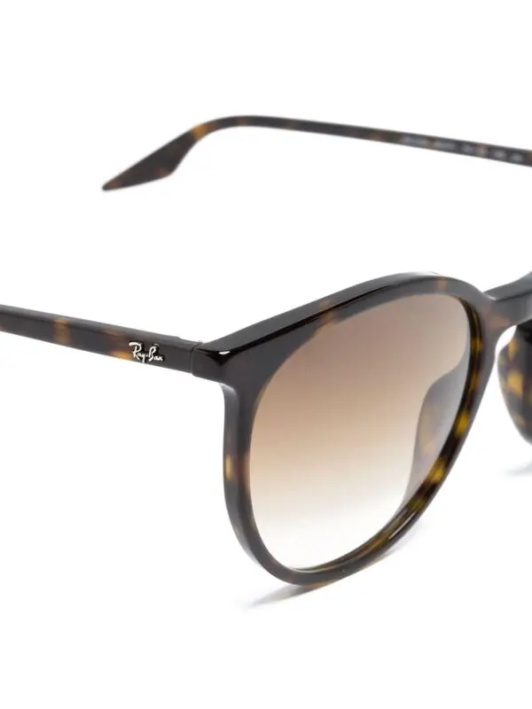 Ray-ban Tortoiseshell Round-frame Sunglasses