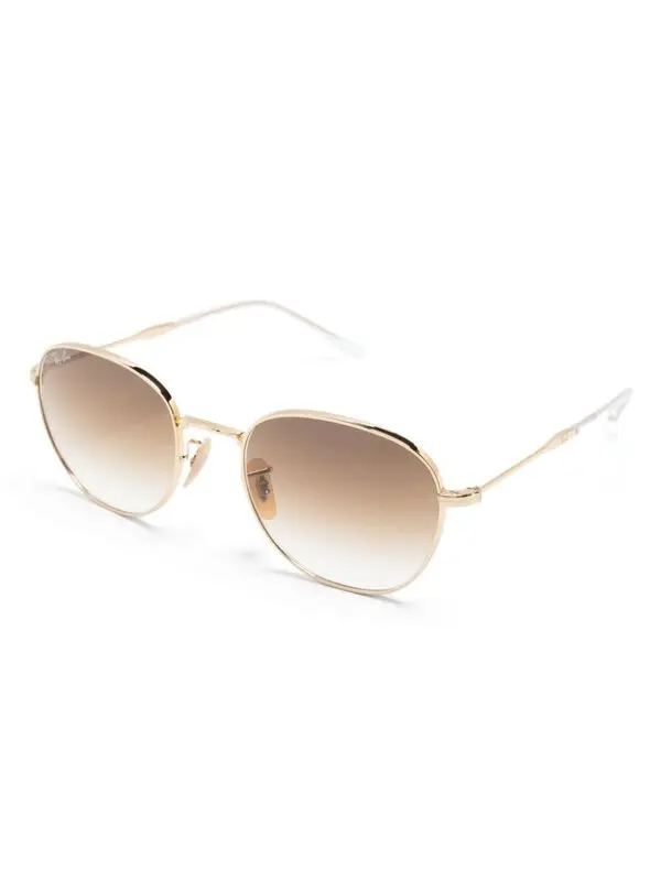 Ray-ban Pantos Frame Sunglasses