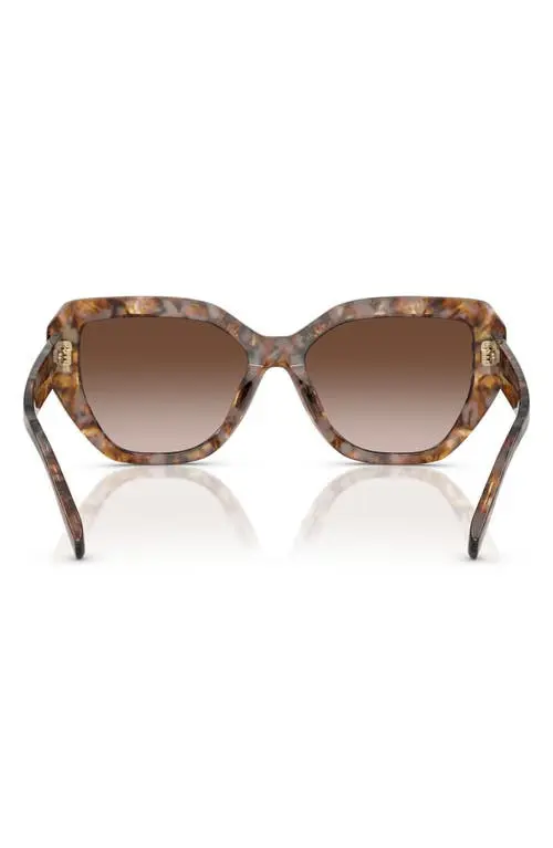 Tory Burch 55mm Cat Eye Sunglasses