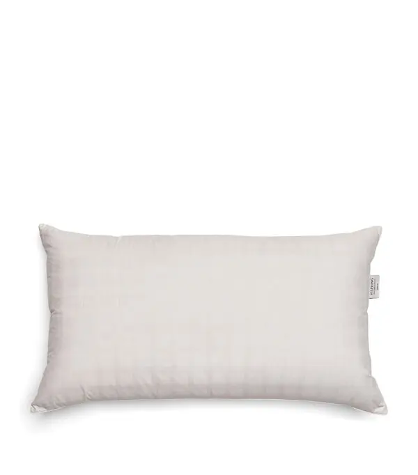 VISPRING Cotton Down-filled Pillow