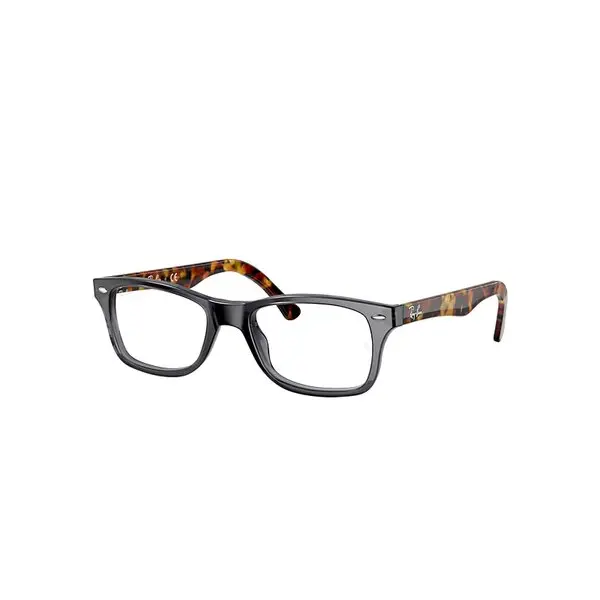 Ray-ban Optics Eyeglasses Frame - Tortoise