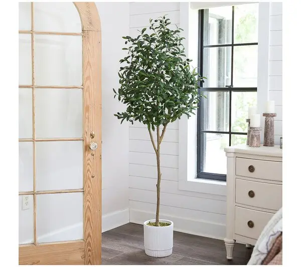 NEARLY NATURAL 6' Artificial Olive Tree With Wh Ite Planter - One-color