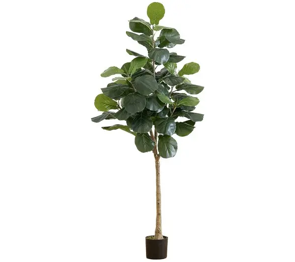NEARLY NATURAL 6' Fiddle Leaf Tree - One-color