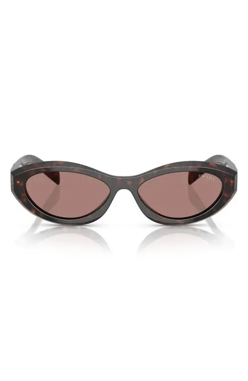 Prada 56mm Oval Sunglasses - Brown Tortoise