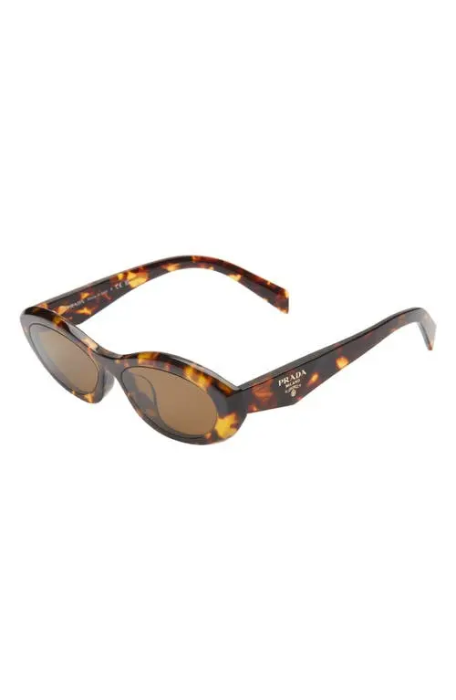 Prada 56mm Oval Sunglasses - Dark Brown