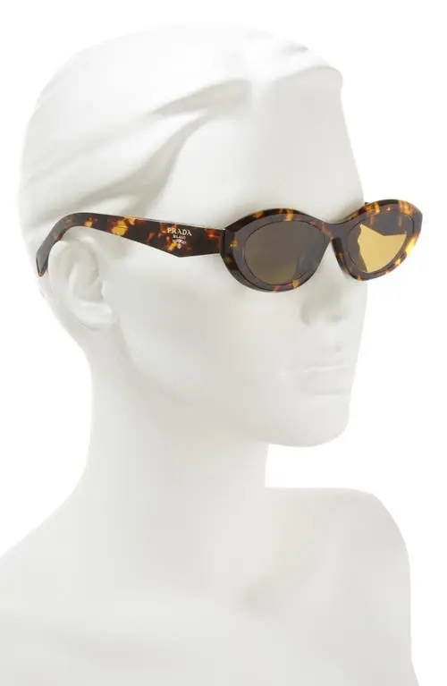 Prada 56mm Oval Sunglasses - Dark Brown