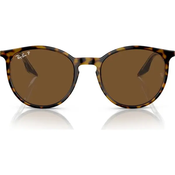 Ray-ban 54mm Polarized Round Phantos Sunglasses - Brown