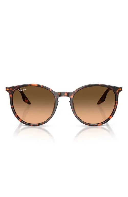 Ray-ban 54mm Phantos Sunglasses - Havana Red Turtle/pink