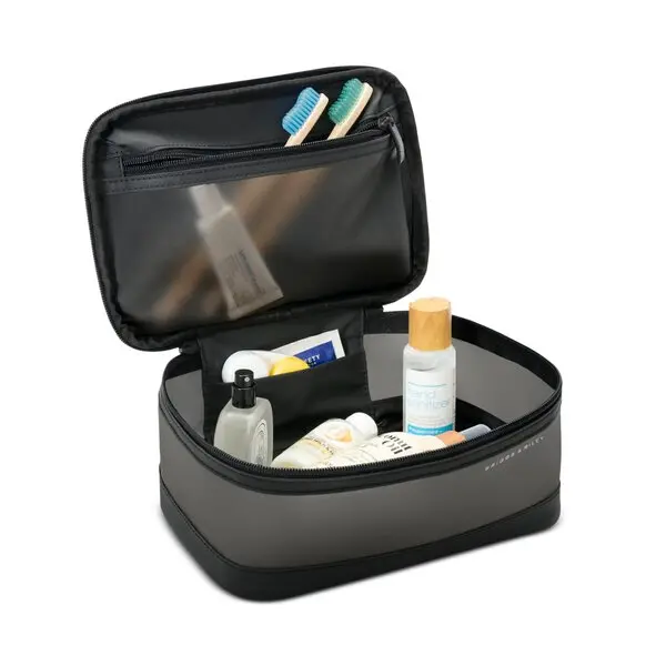 Briggs & Riley Travel Essentials Translucent Essentials Case