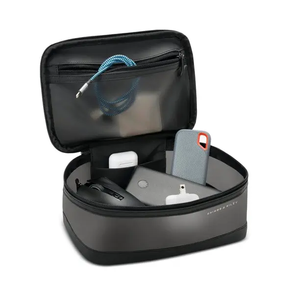 Briggs & Riley Travel Essentials Translucent Essentials Case
