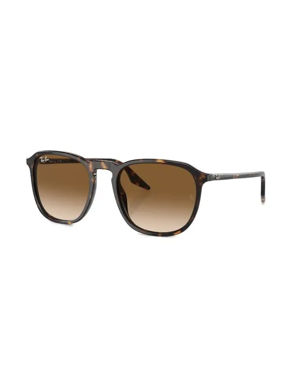 Ray-ban Oversized Sunglasses