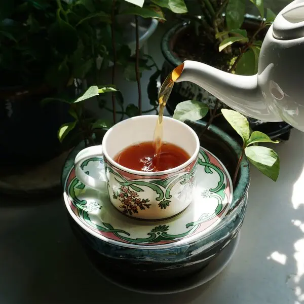 Twig New York Always Marie Cup And Saucer - Multi