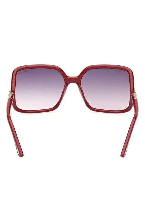 TOM FORD Butterfly Sunglasses - Fuchsia / Gradient Smoke