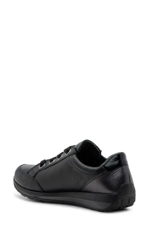 ARA Ollie Sneaker