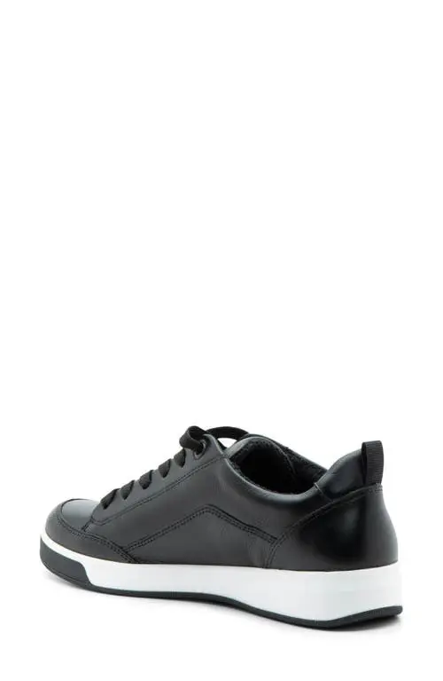 ARA Redmond Sneaker - Black