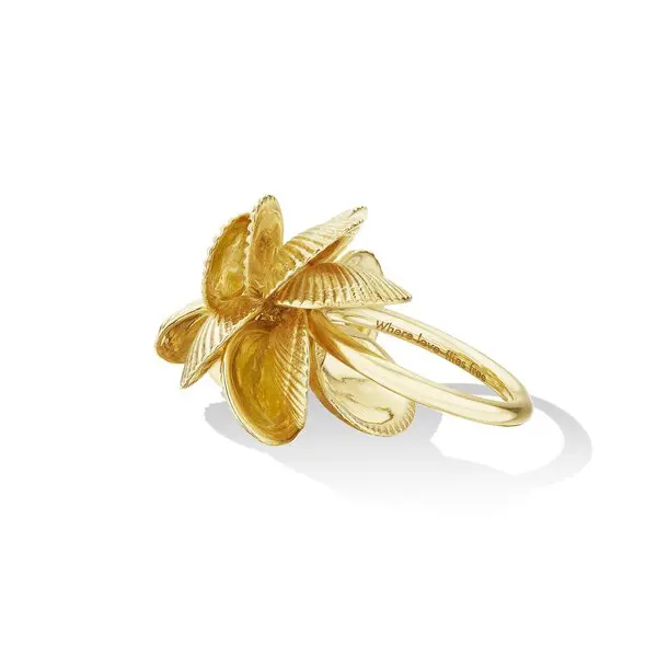 CADAR Yellow Gold Shell Charm Ring