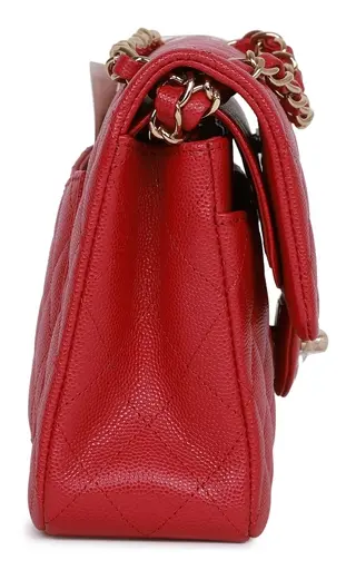 Chanel Pre-owned Small Classic Double Flap Shoulder Bag