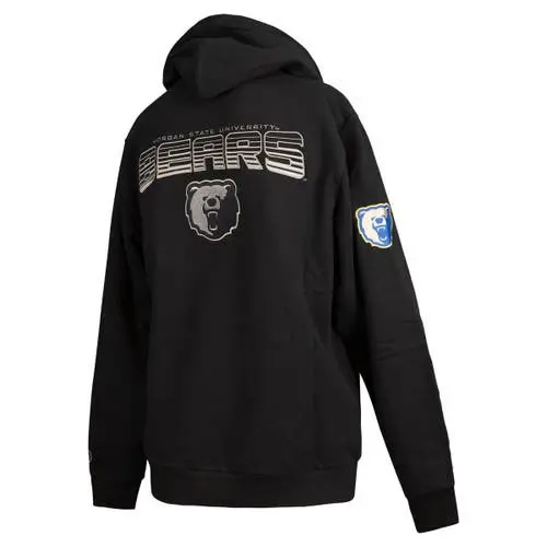 FISLL Morgan State Bears Puff Print Sliced Pullover Hoodie