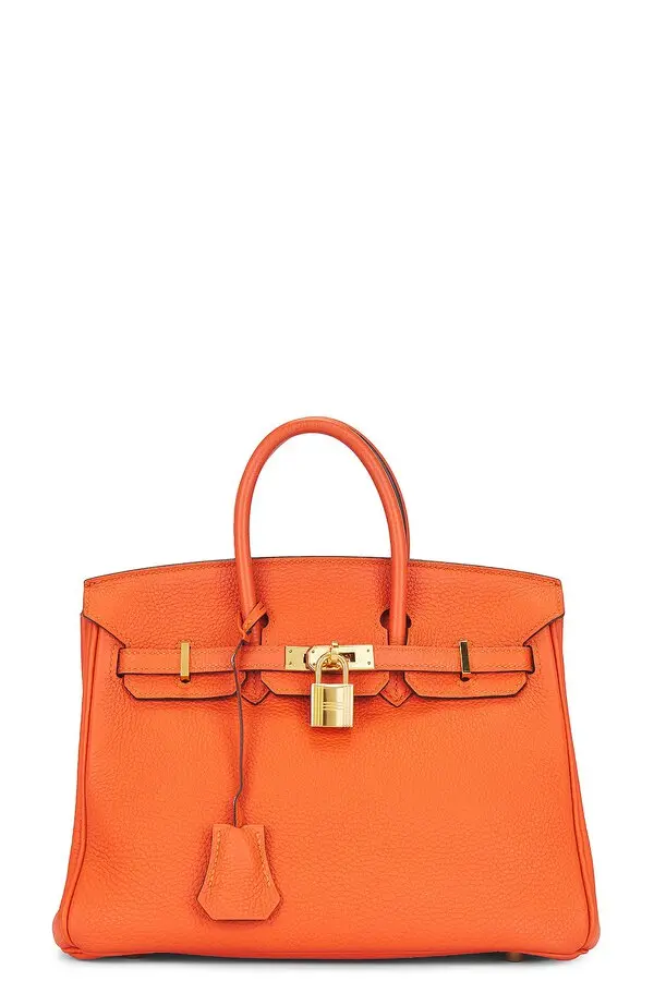 Hermès Chevre Birkin 25 Handbag - Feu Orange