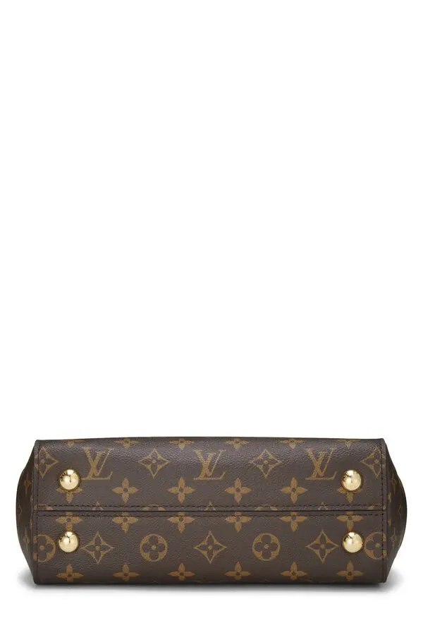 LOUIS VUITTON Monogram Canvas Cluny Nm