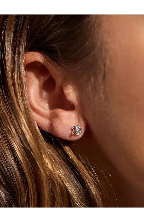 Estée Lauder Knot Stud Earrings