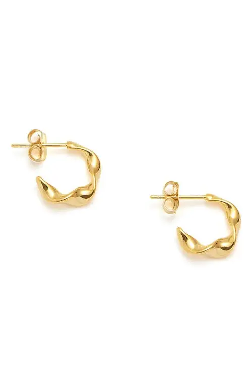 Estée Lauder Twist Hoop Earrings