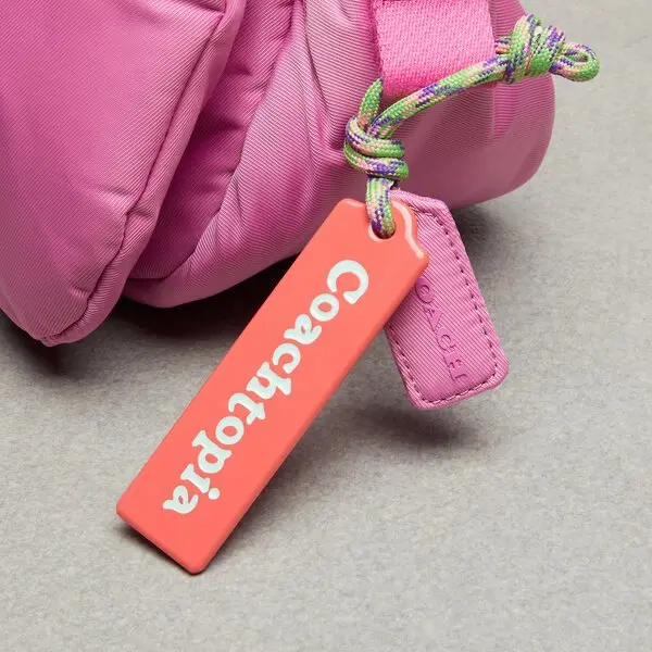 COACHTOPIA Loop Puffy Wavy Dinky Bag