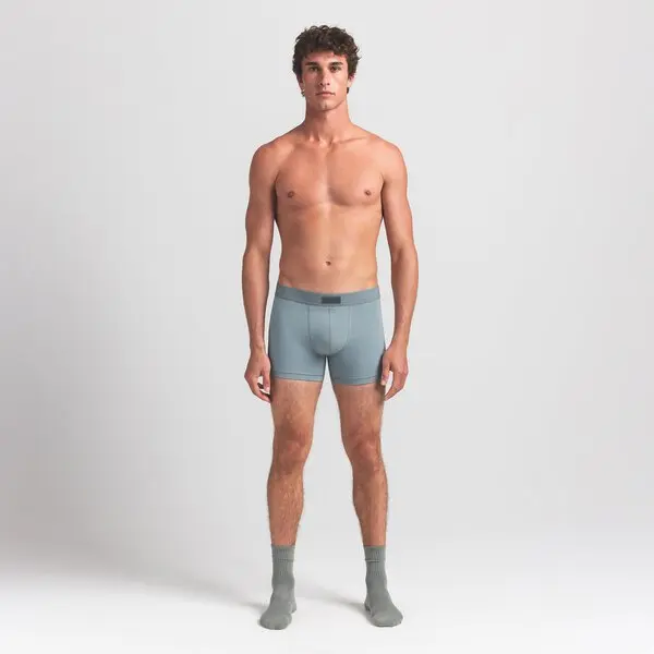 SKIMS Cotton 3 Inch Boxer Brief - Sky