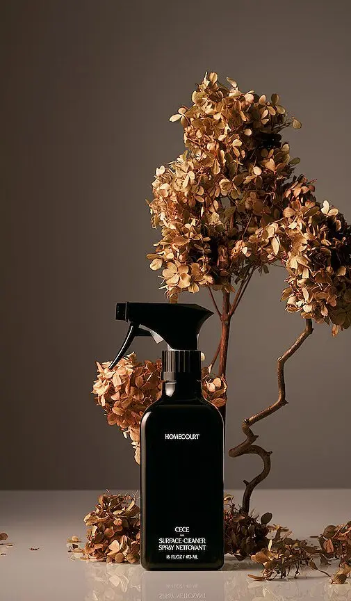 HOMECOURT Cece Surface Cleaner