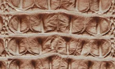 Brahmin Margo Croc Embossed Leather Crossbody Bag