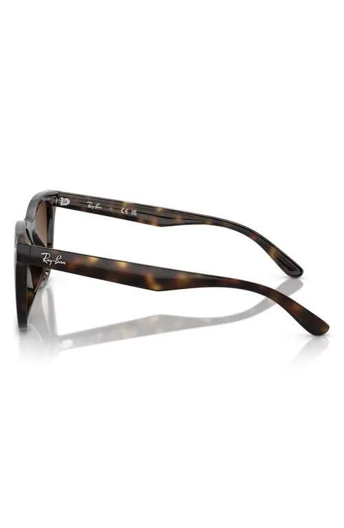 Ray-ban 65mm Oversized Square Sunglasses - Havana