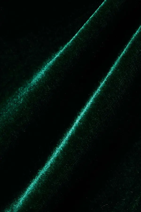 Saloni Asher Velvet Gown