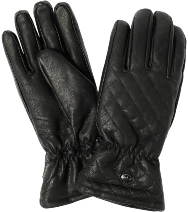 Goldbergh Nishi Leather Ski Gloves - Black