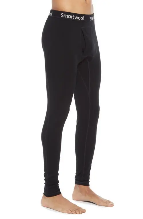 Smartwool 250 Merino Wool Baselayer Leggings