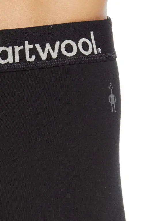 Smartwool 250 Merino Wool Baselayer Leggings