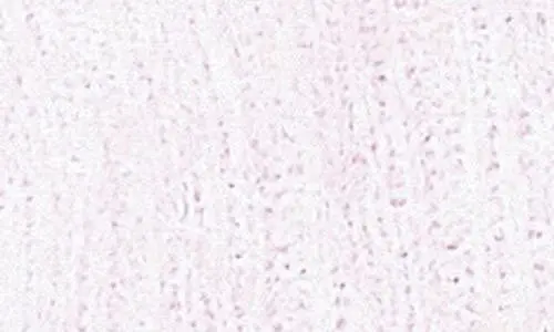 Endless Rose Fuzzy Knit Sweater