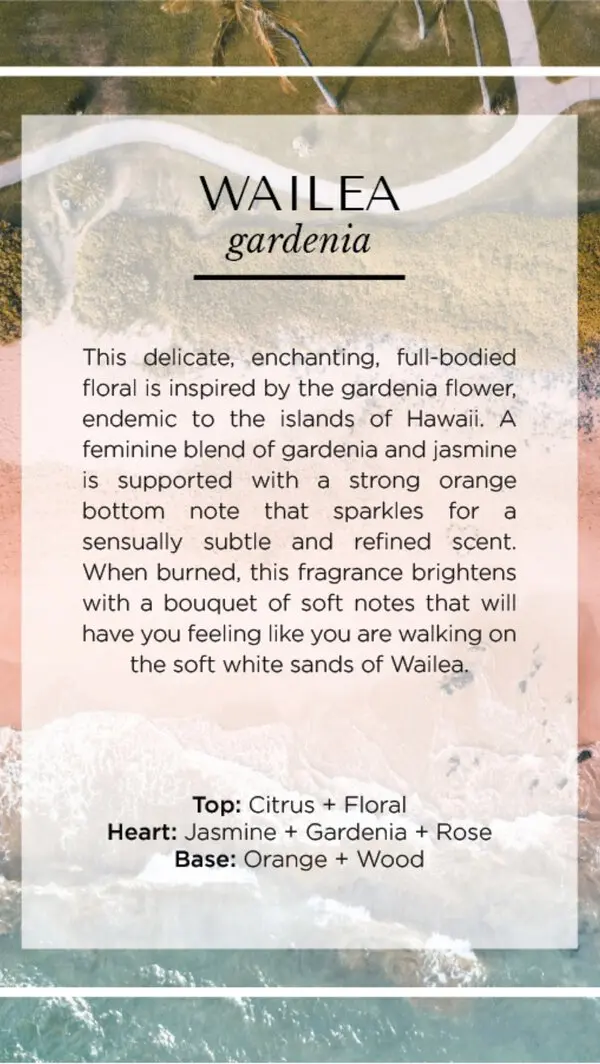 MALIBU APOTHECARY Wailea Candle 7.5 Oz/ 221