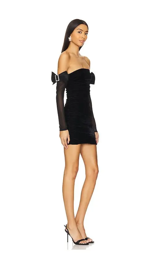 Majorelle Embellished Velvet Mini Dress With Sheer Sleeves