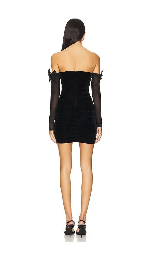 Majorelle Embellished Velvet Mini Dress With Sheer Sleeves