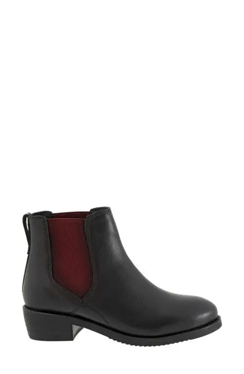 Softwalk Rana Chelsea Boot - Black/ Red