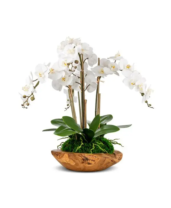 COCOBELLA Phoenix Orchid In Wood Bowl - White