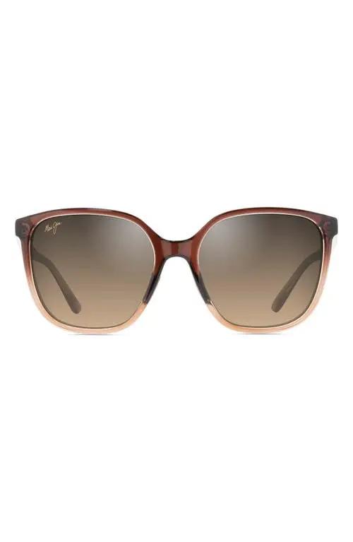 Maui Jim Butterfly Sunglasses - Brown