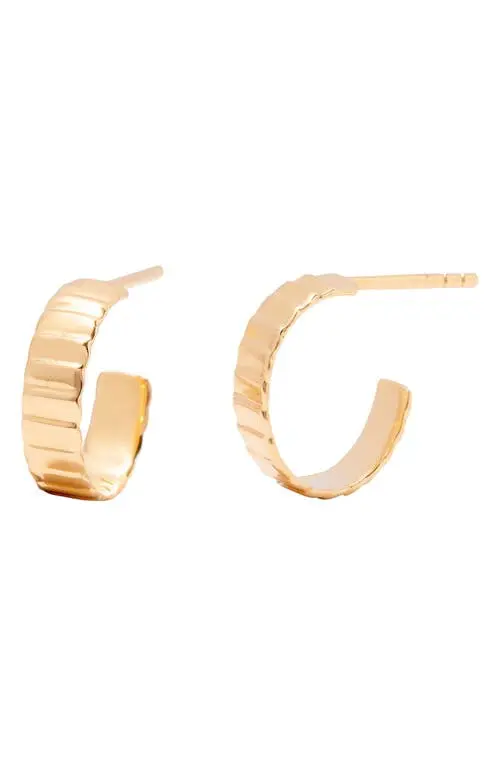 BROOK & YORK Natalie Hoop Earrings - Gold