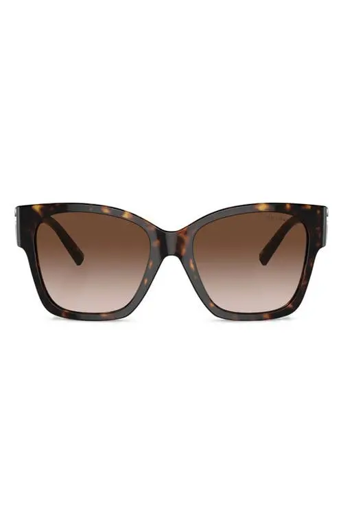 Tiffany & Co. 54mm Square Sunglasses - Havana