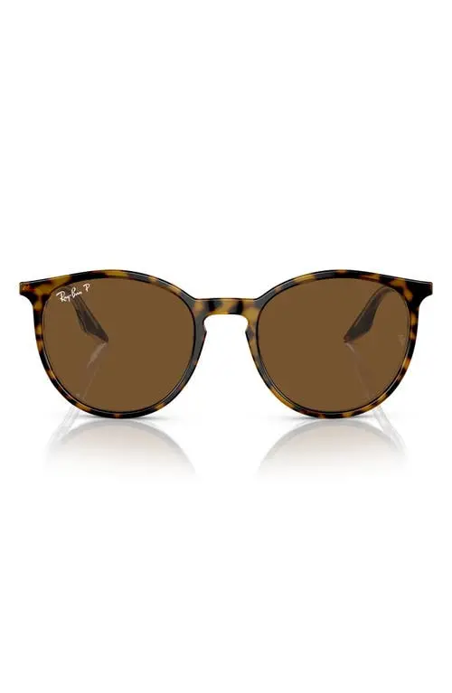 Ray-ban 51mm Polarized Sunglasses - Havana