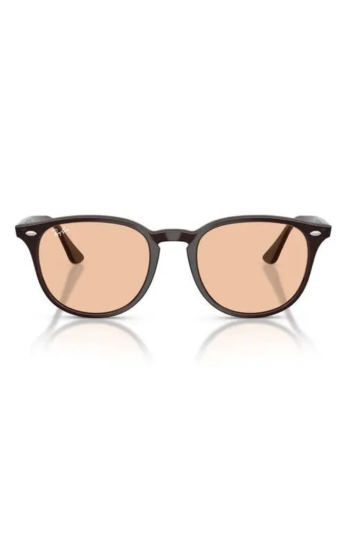 Ray-ban 53mm Phantos Sunglasses - Transparent Brown/brown