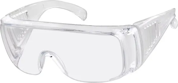 Zenni Protective Glasses / Goggles - Translucent